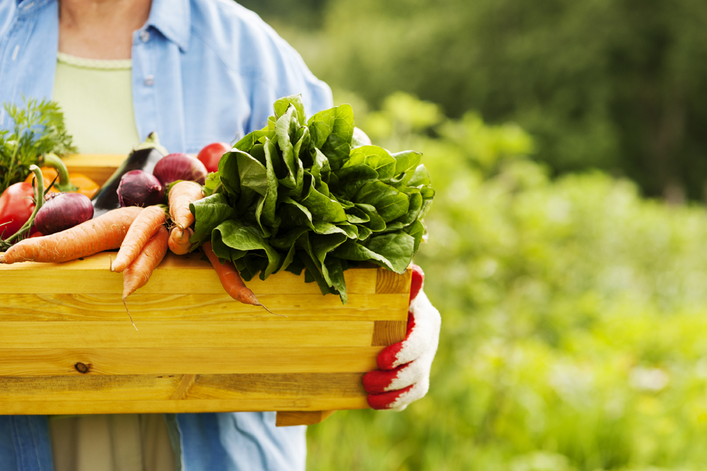 Why eat locally grown and organic foods? - Nautilus Plus | Nautilus Plus Why eat locally grown and organic foods? - Nautilus Plus | Nautilus Plus