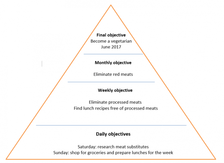 The Pyramid of Objectives | Nautilus Plus