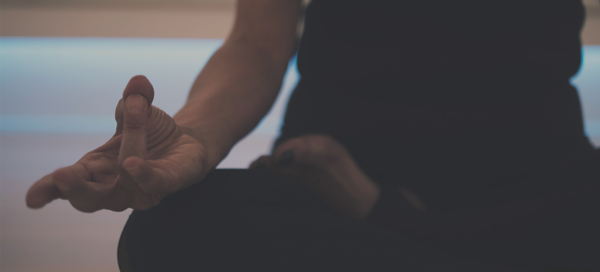 ZEN FUSION FIT - Nautilus Plus | Nautilus Plus