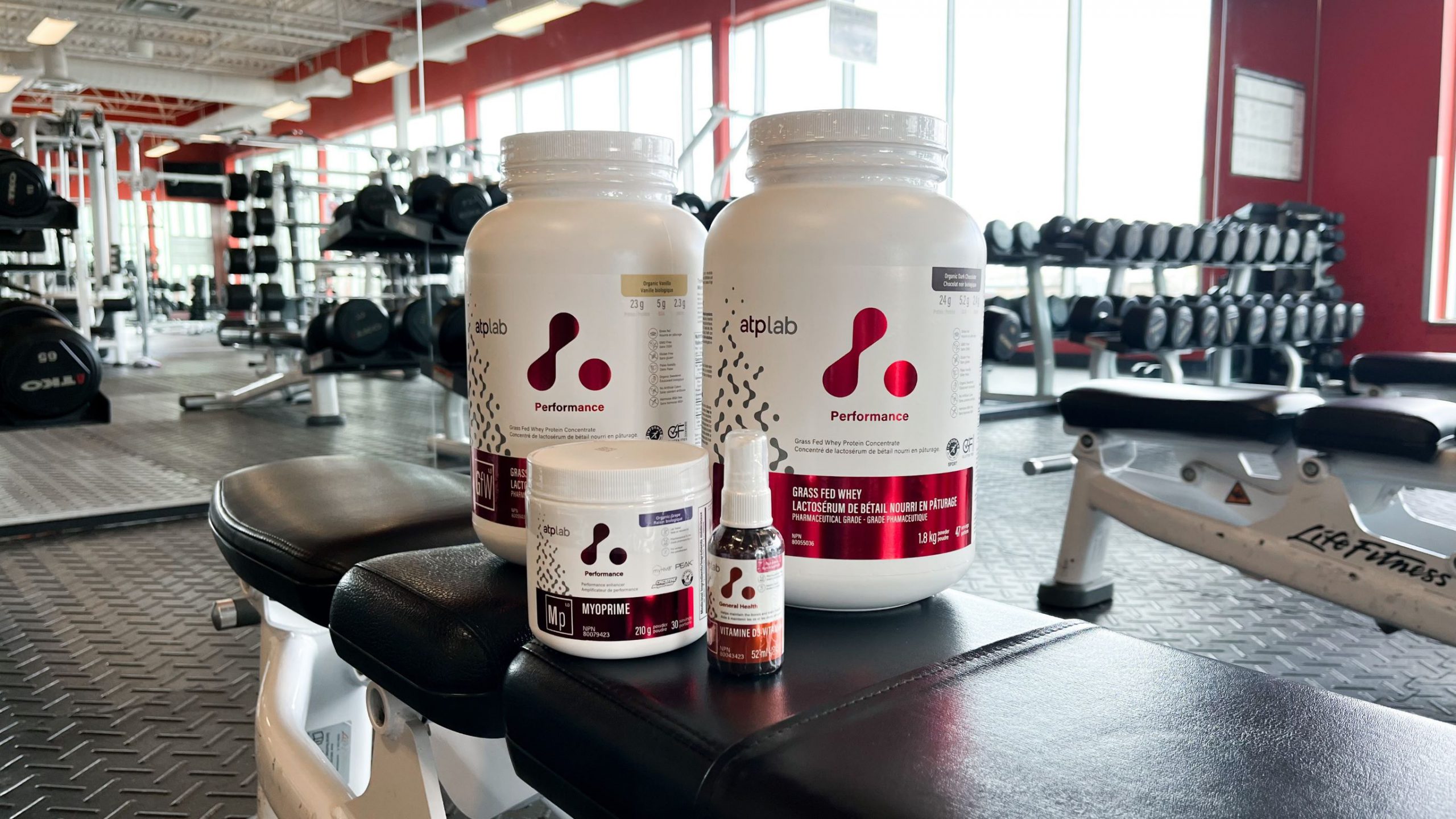 Sance D39entrainement En Musculation Nautilus Plus Nautilus Plus